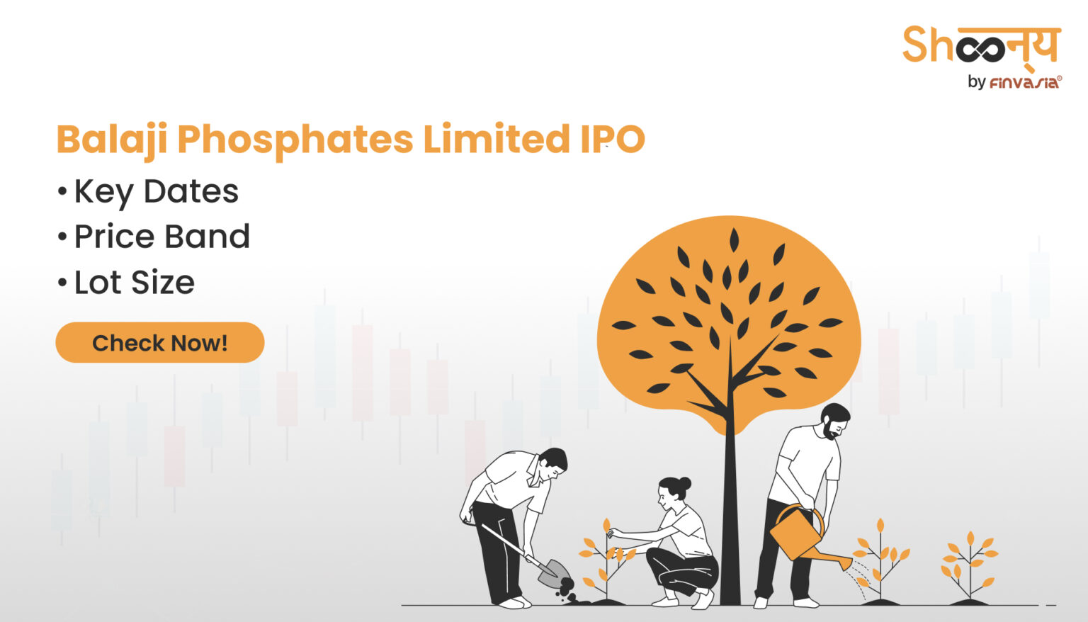 Balaji Phosphates Limited IPO | Key Dates and IPO Price Band